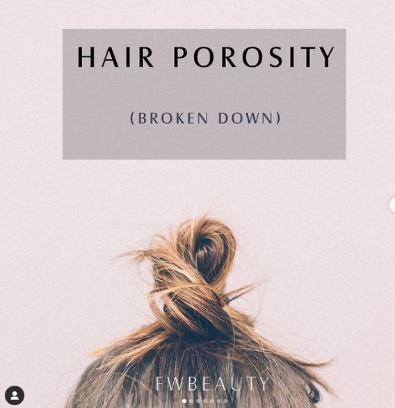 What is hair porosity ? – FWBEAUTY